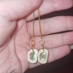 Real Mole Bone Displays. Bone Display. Mounted Mole Bones. | Etsy UK