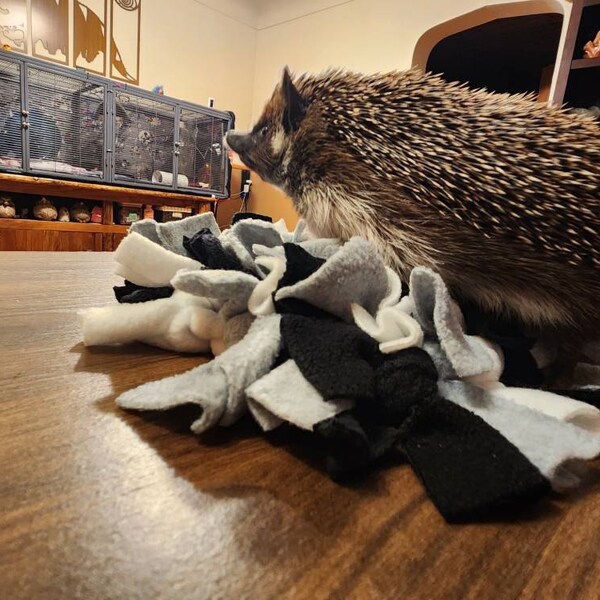 SMALL Burnt Orange Snuffle Mat for Dogs - Enrichment Mat - Rooting Rug ...