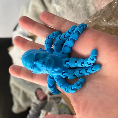 Lobster Rock Lobster 3d Printed Fidget Toy Rocktopus the Rock Dwayne ...