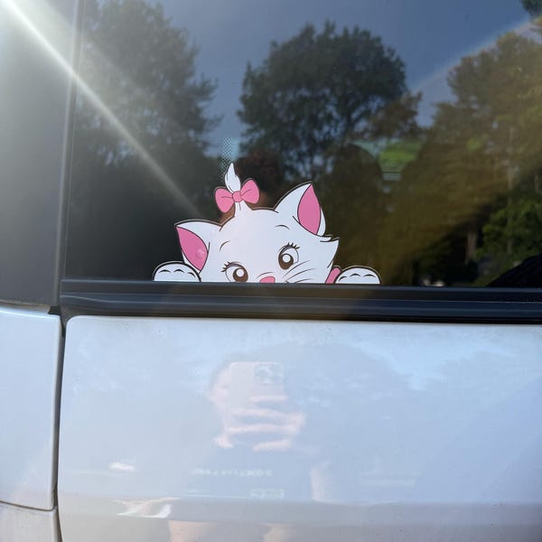 CMSGT Headdress Color USAF Air Force Chief Master Sergeant Military E-9 ...