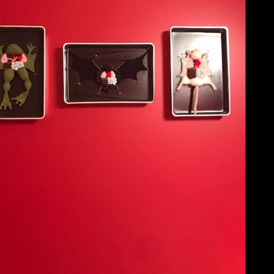 Knitted Dissected Bat Specimen - Etsy