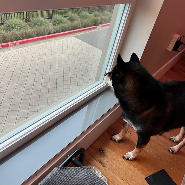 Acrylic Sheet 1/8" Dark Gray Transparent #2074 - Plexiglass Plastic ...