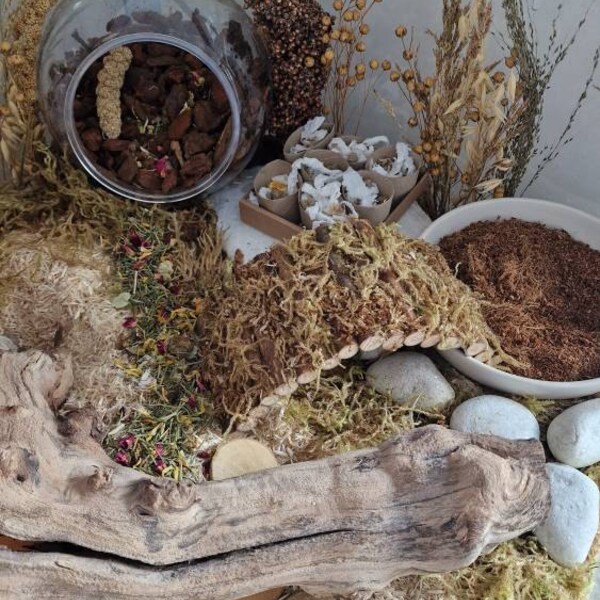 Forage Box Rabbits, Guinea Pigs, Hamsters, Rats - Etsy UK