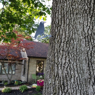 Metal Puffin/home & Garden Decor/metal Tree Art/hand Made/puffin /free ...