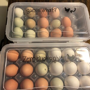 Funny Egg Carton Stickers lables/ Stickers ONLY Chicken Duck Turkey ...