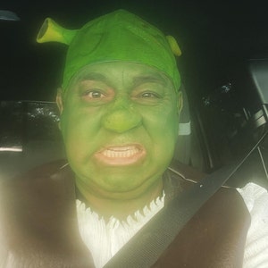 Shrek the Musical Shrek Nose Foam Latex Prosthetic - Etsy