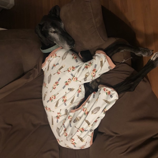 Dog Pajamas Sewing Pattern PDF Download | Large Dog 3 Pack | Large Dog ...