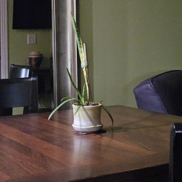 Handmade Tea Spoon Rest / Tea Bag Holder Gift Set With Spoon, Tea, and ...