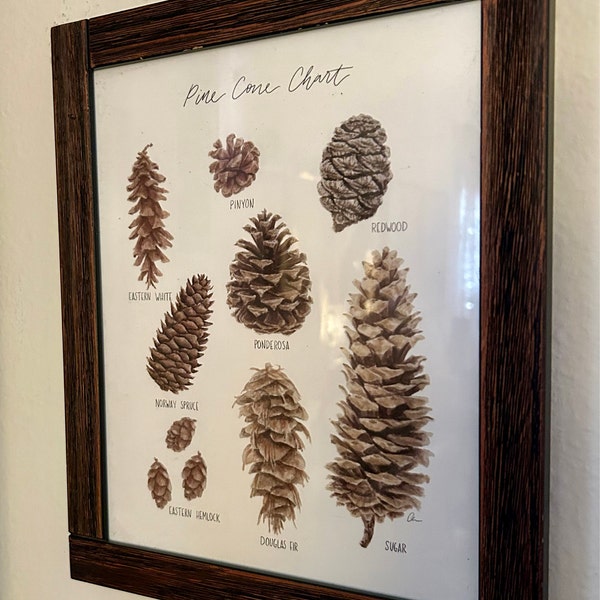 Pine Cone Chart Print - Watercolor Pine Cones, Pine Cones, Nature Print ...