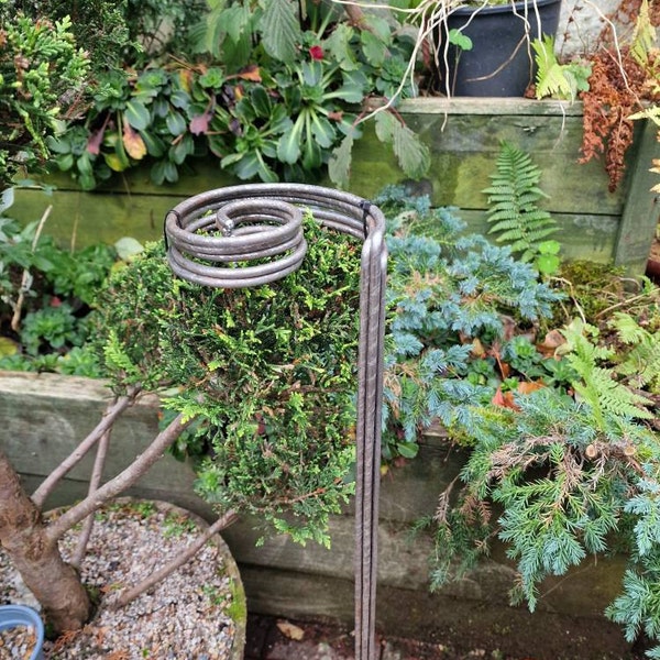 Set of 5 - Curly Plant Supports - Etsy UK