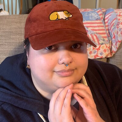 Cute Triceratops Embroidered Cap Gift for Dinosaur Lovers Triceratops ...