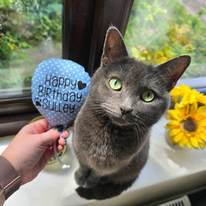 Personalised Catnip Fabric Birthday Balloon, Gotcha Day Gift, Cat ...