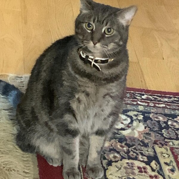 SINGER 8734 8834 MERRITT List of Parts Sewing Machine in ENGLISH - Etsy