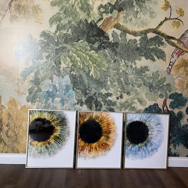 Eye Anatomy Art Print, Periorbital Cross-section Watercolor Style ...