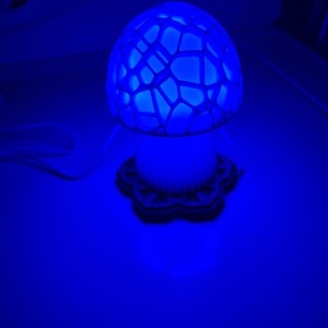 Human Skull 3D Printed Accent Lamp Anatomy Table Lamp - Etsy