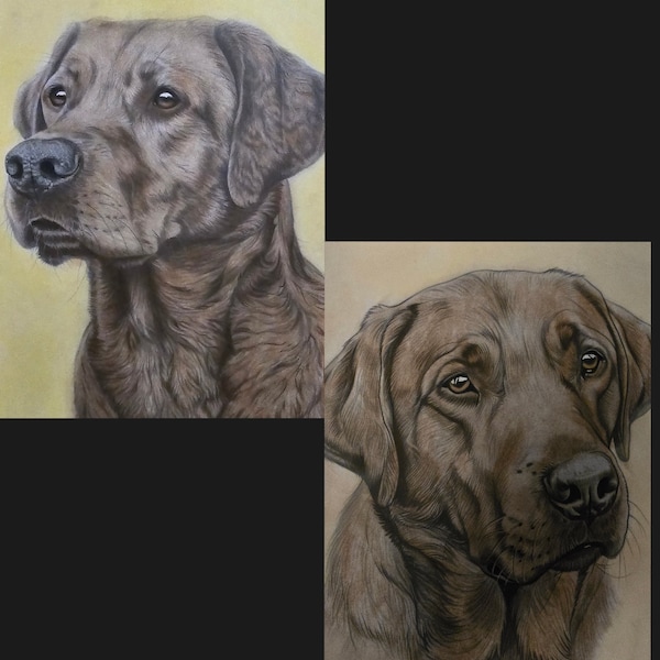 30 Labradors Coloring Page Book - Adults + Kids - Instant Download ...