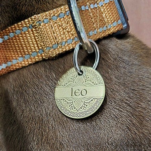 Personalized Pet Tag Elven Scrollwork With Celtic Border Custom Dog Cat ...