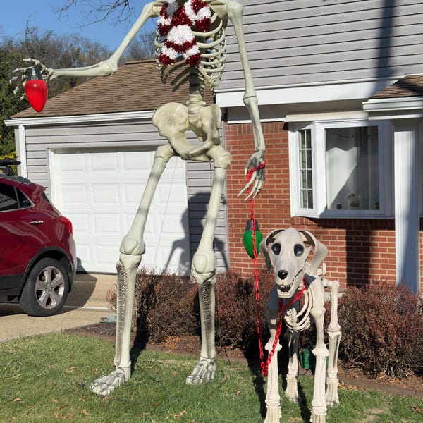 12’ Skeleton Santa Beard (white) (skeleton NOT Included) - Etsy