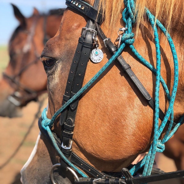 Horse Tack Tag, Label, Name Charm for Horse Tack, Animal Gear - Etsy