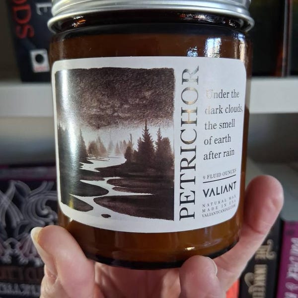 Petrichor | the Smell of Earth After Rain | Soy Wax Candle in Amber Jar ...
