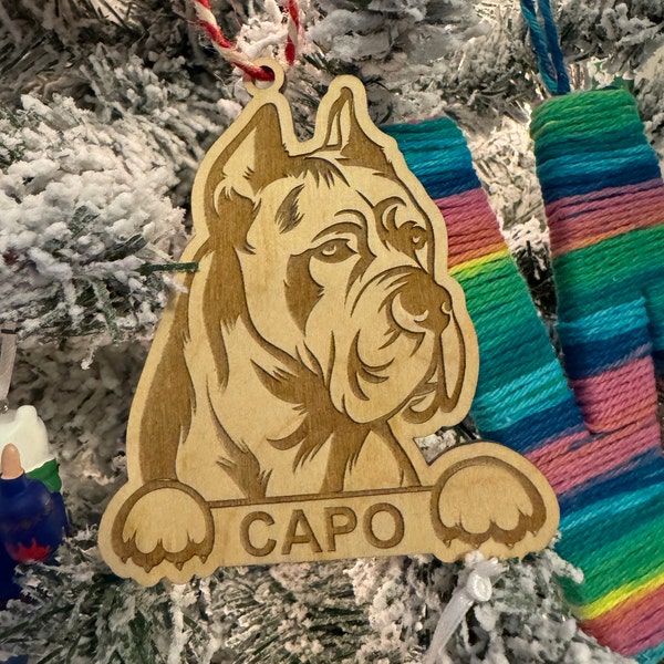 Revised MEGA - Puerto Rican’s Make America Great Cap - Etsy