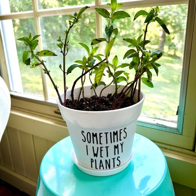 Funny Planter Pot, Plant Pun Pots, Punny Pots, Whimsical Flower Pot ...