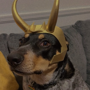 Azula Top Knot Crown - Etsy