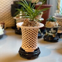 Furan Orchid Pot Fu Ran Pot Neofinetia Pot Fukiran Furan Pot - Etsy Canada