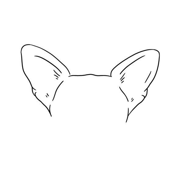 18 Cat Ear Line Drawing Clip Art and Stamps for Procreate - Etsy