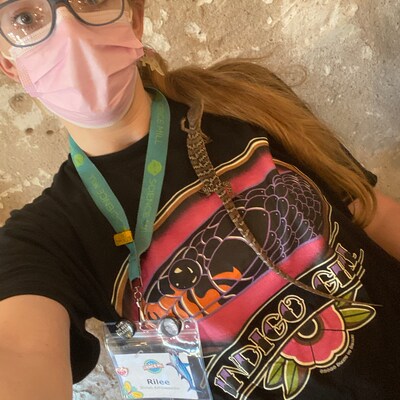 Cornsnake Morph Posters - Etsy