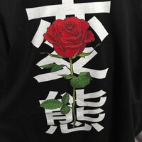 My Back is in Crippling Pain Shrimp, Funny Meme Shirt, Ironic Shirt ...