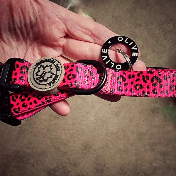 Custom White Lace Personalized Fancy Wedding Dog Collar or Dog Flower ...