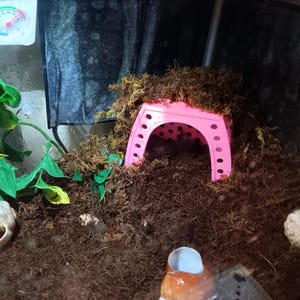 Aquarium Corner Cave Fish Tank Decoration, Axolotl Hide Underground ...