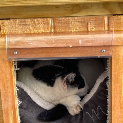 LARGE FERAL CAT Pod/deluxe Heat Heated House Bed Shelter - Etsy