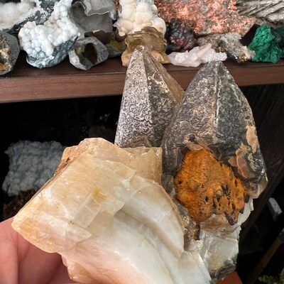 Old Stock: Agate Fossilized Coral Specimen From Tampa Florida - Etsy