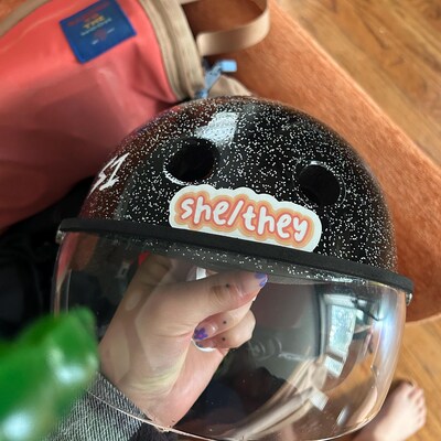 Smash the Cis-tem Sticker LGBTQ Sticker Queer Stickers Trans Pride ...