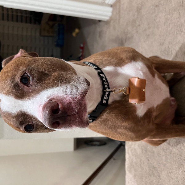 Personalised Dog Proposal Engagement Ring Pouch | Pet Proposal Idea ...