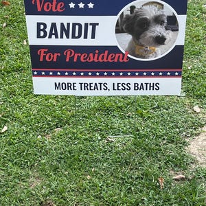 Middle School Graduation Yard Sign, Graduation Party Decor ...