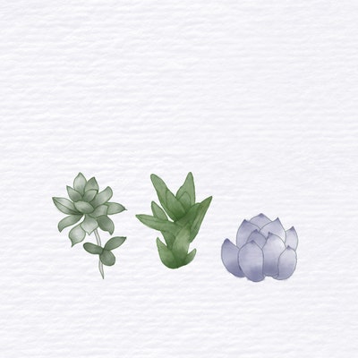 Wild Flowers Procreate Swatches 30 Spring and Summer Colors - Etsy