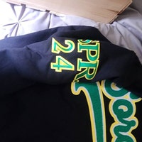 Delta Sigma Theta duck-walk Patch - Etsy Canada