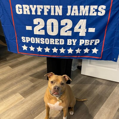 Customized Wreck-it Ralph Blanket, Personalized Blanket, Bedding ...