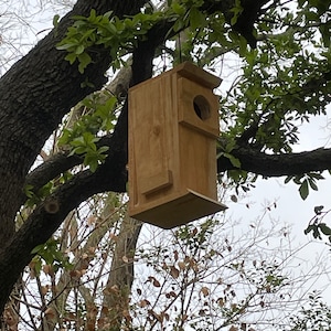 Barred or Great Horned Owl nesting box made of pine and cedar | Etsy