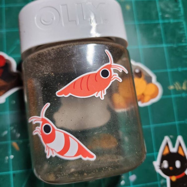 Cute Isopod Bug Keeper Memo Pad, Kawaii Cute Memo Pad, Forest Insect ...