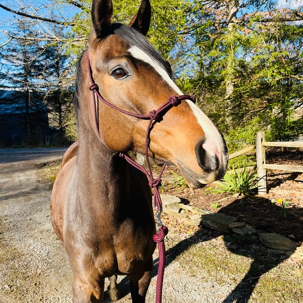 Custom Neck Rope, Cordeo, Bridleless Neck Rope, Horse Neck Rope - Etsy