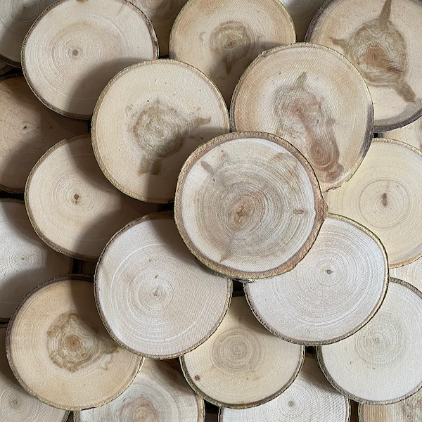 Bulk 2.5-3" Wood Slices Aspen - Rustic Wedding Decor - Magnets - Wood ...