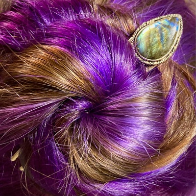 Insect Hair Pins, Insect Jewelry, Cockroach Hair Pins, Fly Hair Pins ...