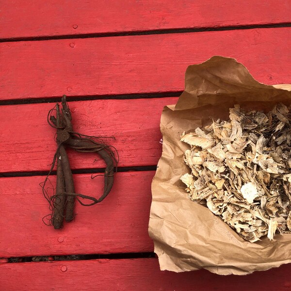 1 Gallon Pee Gee Hydrangea Bare Root Tree - Hydrangeas/live Plants ...