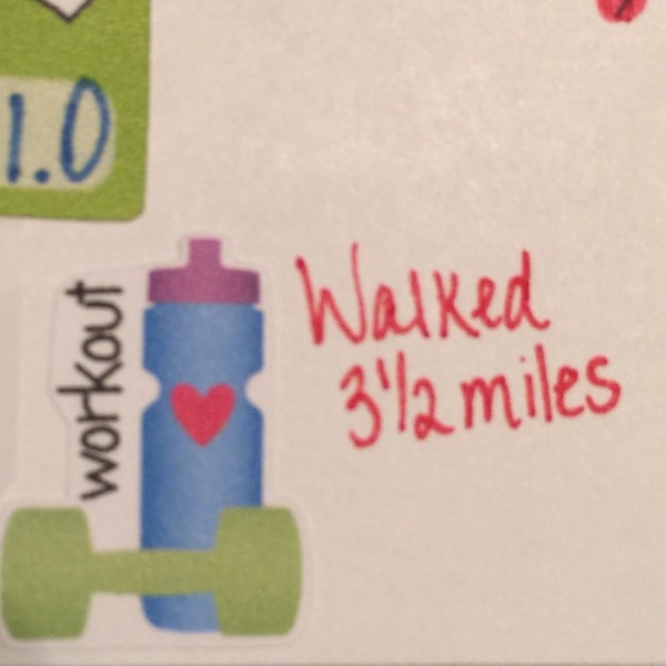 Workout Exercise Planner Stickers - Water Bottle & Hand Weight - Etsy