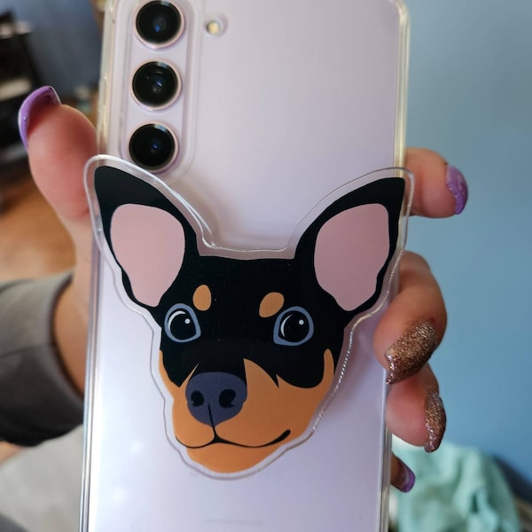 Nintendo Super Mario Inspired Min Pin Brothers Miniature Pinscher Large ...