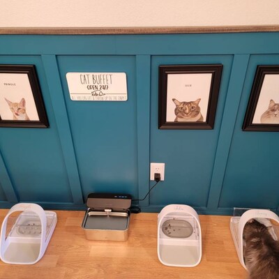 Welcome to the Catio Wood Sign, Cat Head Sign, Cat House Sign, Wood Cat ...